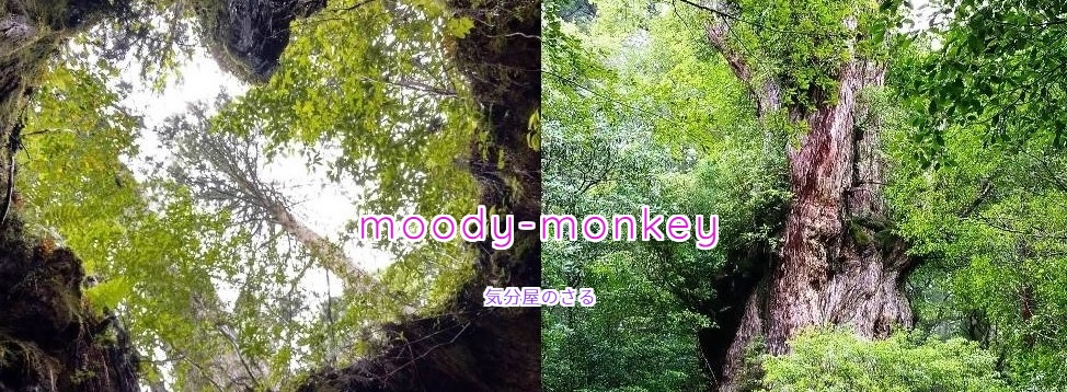 む～もん moody-monkey(ムーディーモンキー)｜気分屋のサル（気分サル）
