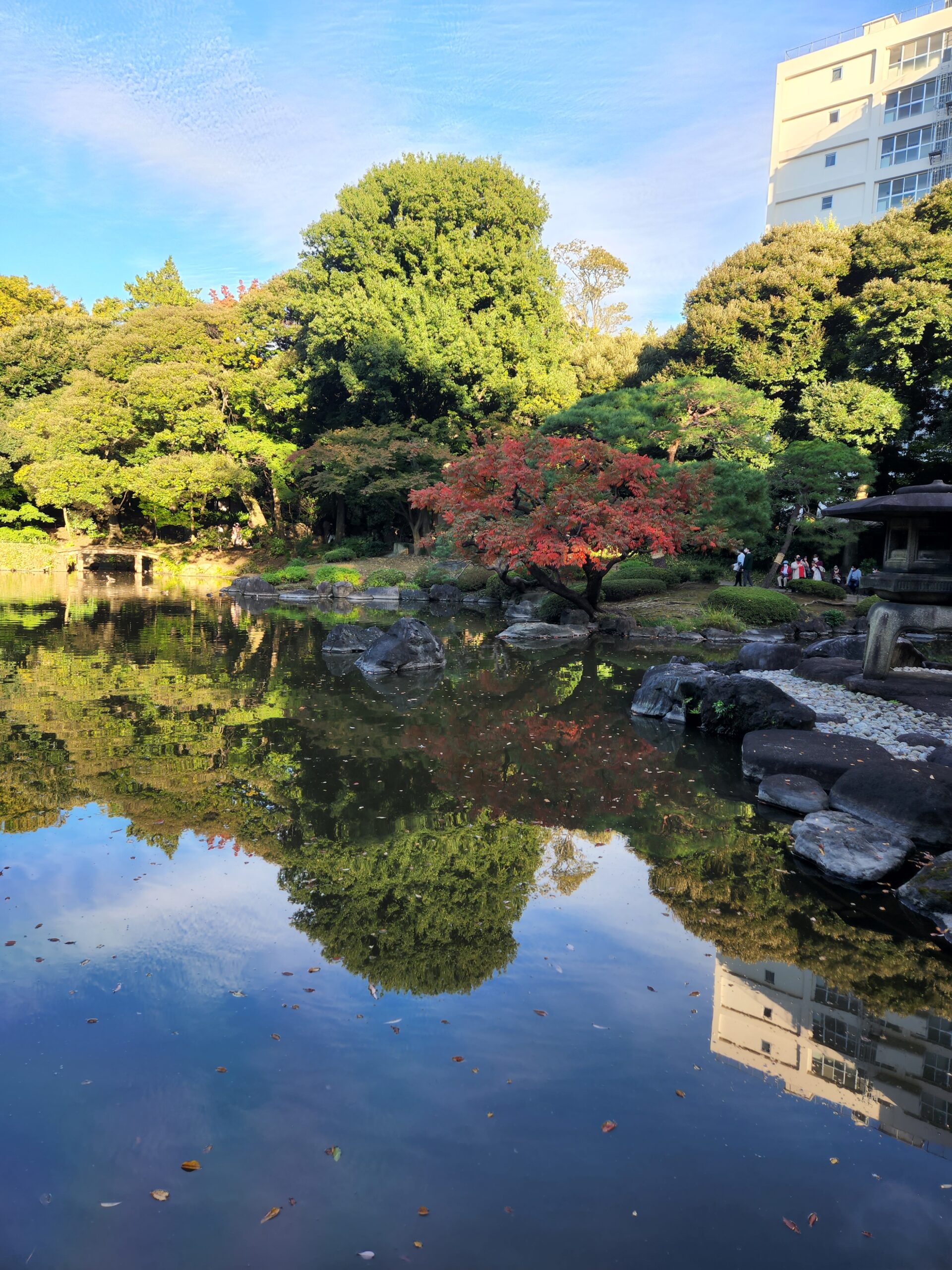 東京都立旧古河庭園｜む～もん moody-monkey(ムーディーモンキー)