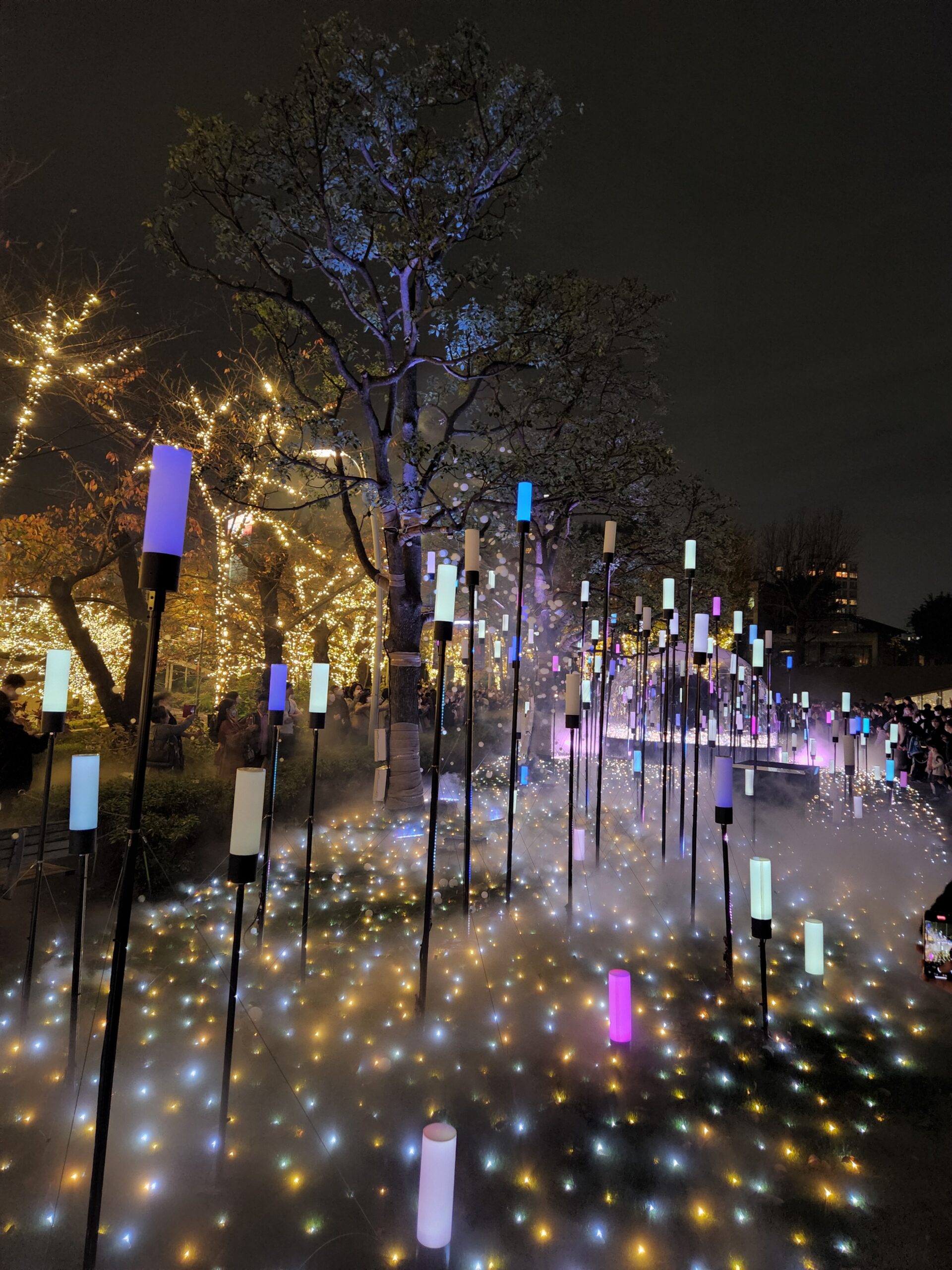 11月になりました。去年の11月は何してた？｜む～もん moody-monkey(ムーディーモンキー)